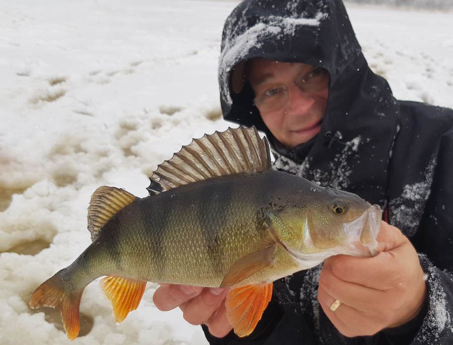 Startsidan på mcdz.net