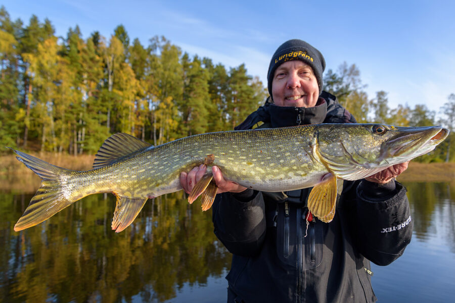 Ja, vi har hittat fisken igen… | McDz.net Ja, vi har hittat fisken igen… | McDz.net